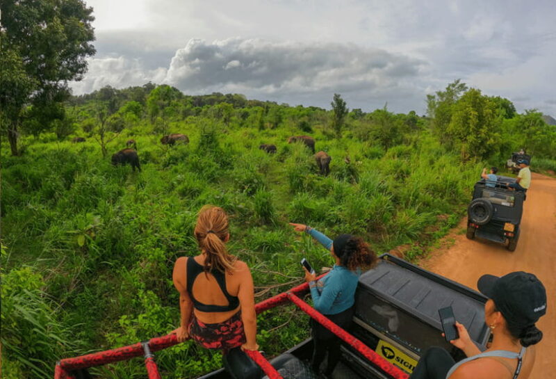 Habarana: Hurulu Eco Park Half Day Safari with Hotel Pickup - Final Thoughts