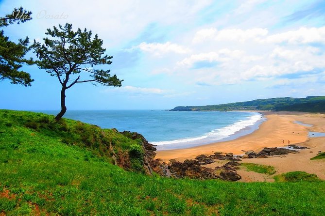 Hachinohe Full-Day Private Trip With Government-Licensed Guide - Inclusions and Exclusions