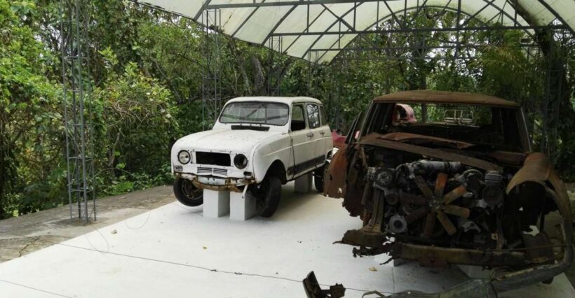 Hacienda Napoles: Full-Day Private Tour from Medellin - Key Points