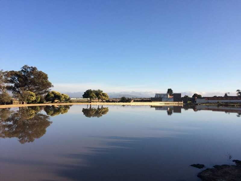 Hacienda Tochatlaco: historical visit, inside the main house - Who This Tour Suits Best