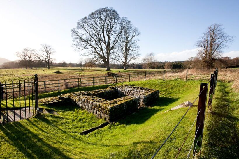 Hadrian's Wall: Chesters Roman Fort and Museum Entry Ticket - Who Should Visit?