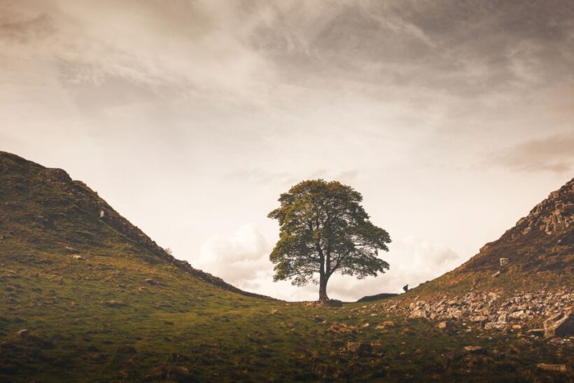 Hadrian's Wall & Roman Britain 1-Day Tour from Edinburgh - Frequently Asked Questions