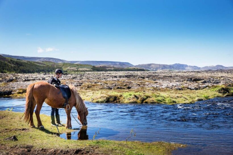 Hafnarfjörður: Horseback Riding Tour in Reykjavik Area - Why This Tour Is a Great Choice