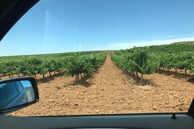 Haft-Day Winery Tour From Zaragoza - Tour Overview