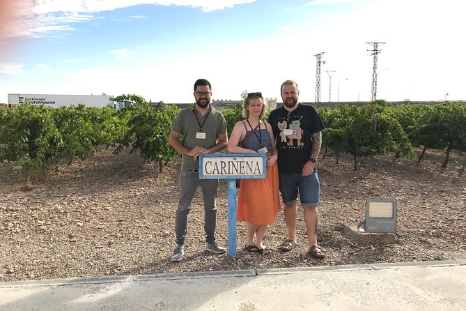 Haft-Day Winery Tour From Zaragoza - Exploring the Wineries of Cariñena