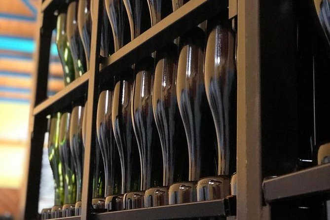 Haft-Day Winery Tour From Zaragoza - Learning About Regional Wine-Making Traditions