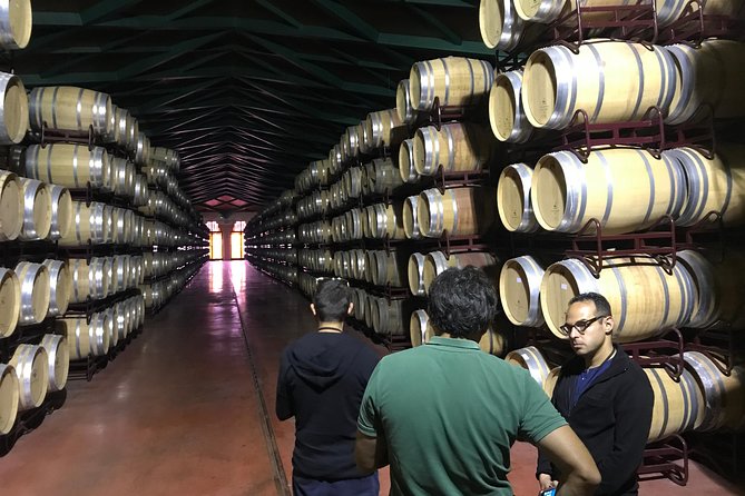 Haft-Day Winery Tour From Zaragoza - Tour Details and Inclusions