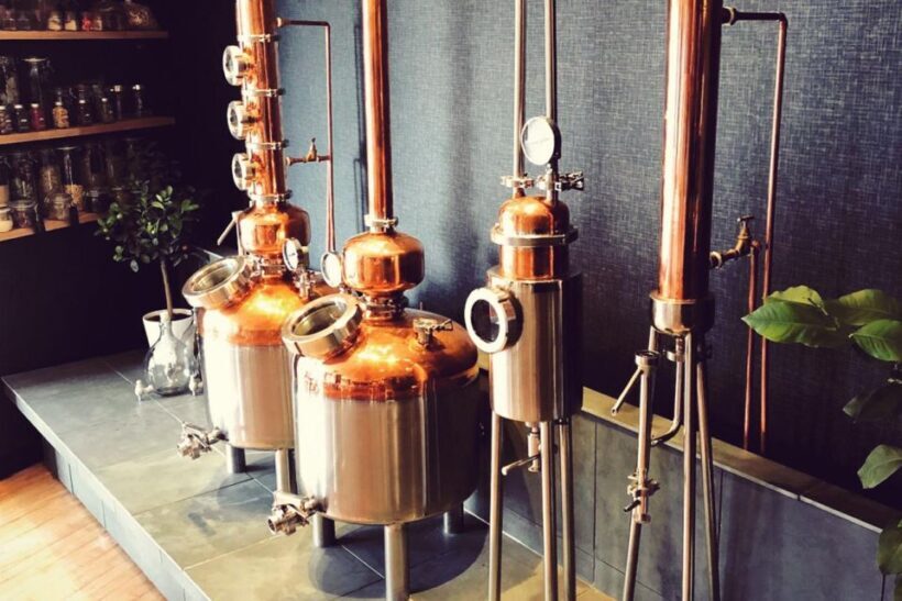 Haggis paired with whisky & gins in 56 North distillery! - What You Can Expect from This Experience