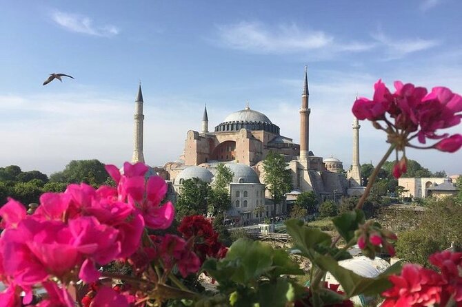 Hagia Sophia Tour - Skip the Ticket Line - Meeting Point and Entrance Details