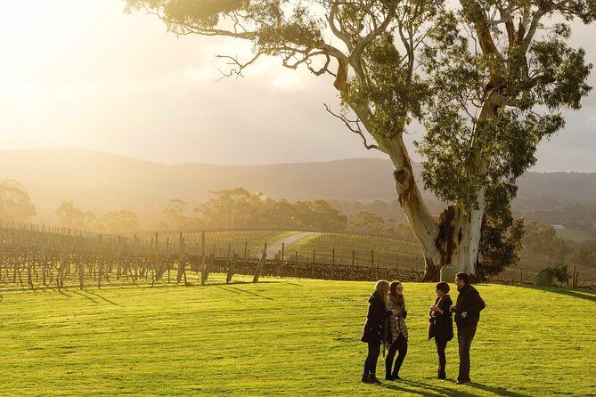 Hahndorf and Adelaide Hills Hop-On Hop-Off Winery Tour from City - An In-Depth Look at the Hahndorf and Adelaide Hills Hop-On Hop-Off Winery Tour