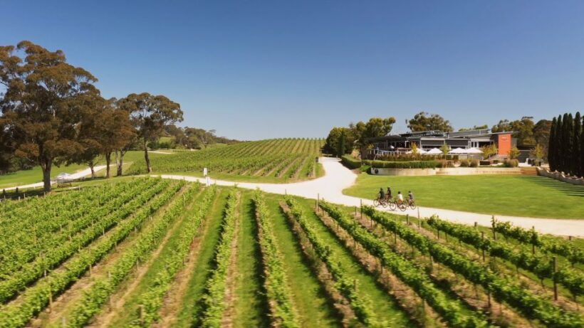 Hahndorf: Gourmet Food & Wine E-Bike Tour - Authentic Experiences and Traveler Feedback
