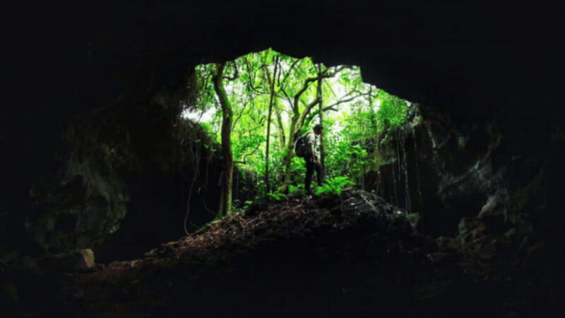 Haikou: China Leiqiong Global Geopark Entry Ticket - What You Can Expect at the Park