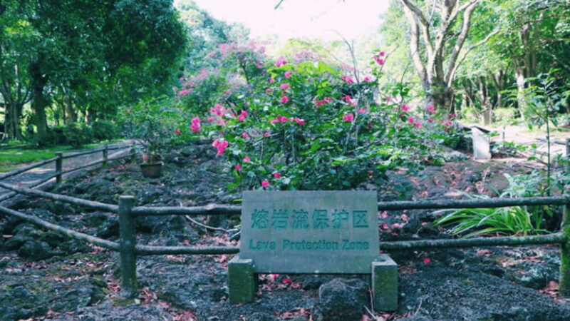 Haikou: China Leiqiong Global Geopark Entry Ticket - Cost and Value