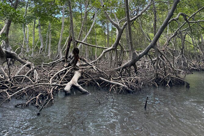 Haitian National Park and fell up - Exploring the Dominican Republic’s Hidden Gems: Haitian National Park and Cayo Levantado