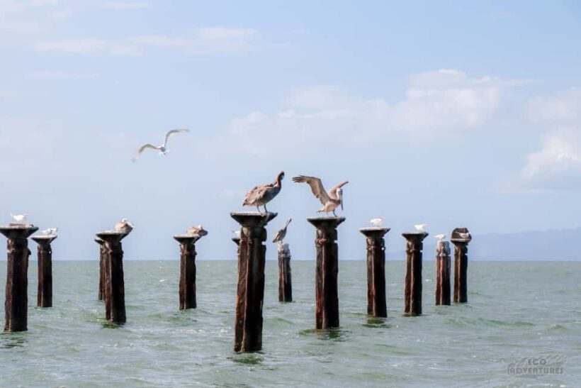 Haitises & Montaña Redonda: Nature's Beauty Tour - Key Points