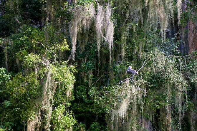 Haitises & Montaña Redonda, Nature's Beauty Tour - Who Will Enjoy This Tour?