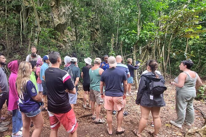 Haitises National Park with Paraiso Caño Hondo & Montaña Redonda - What the Reviews Say