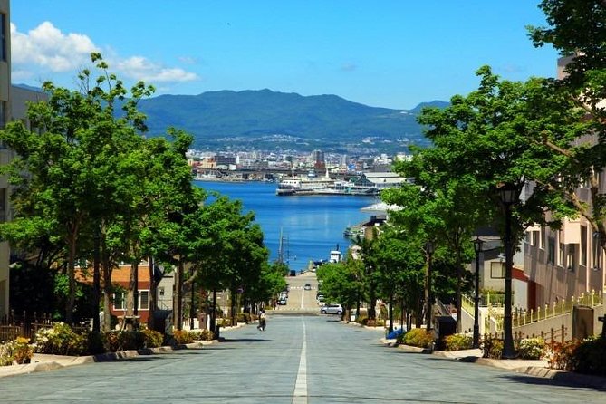 Hakodate 4hr Private Tour With Government-Licensed Guide - Pricing and Booking Information