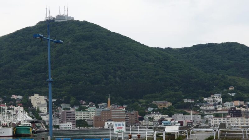 Hakodate: a Half-Day Tour With Government Licensed Guide - Included Services