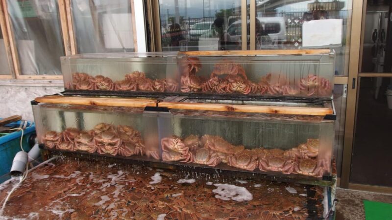 Hakodate: a Half-Day Tour With Government Licensed Guide - Important Information