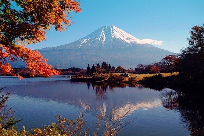 Hakone 6 Hour Private Tour With Government-Licensed Guide - Flexible Start Times