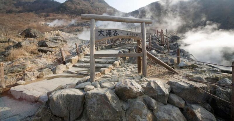 Hakone Adventure Tour (With English/Japanese Speaking Guide) - Tour Features and Inclusions