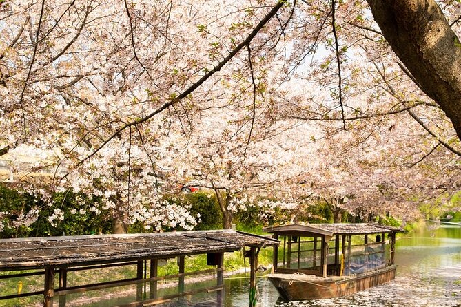 Hakone and Mt. Fuji Day Trip With Private Vehicle - Discovering the Hakone Open-Air Museum