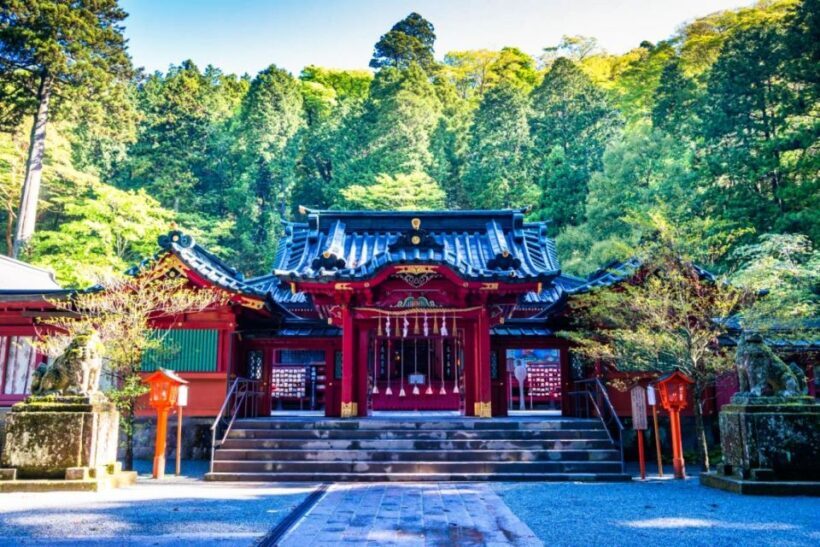 Hakone: Customizable Full Day Tour with Private Transfer - Final Thoughts