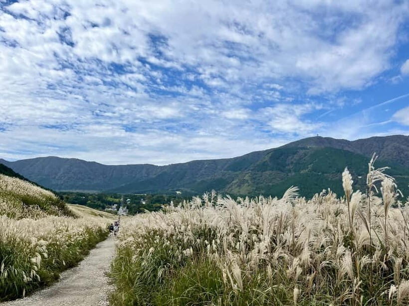 Hakone: Evangelion Anime Tour with Professional Guide - FAQ