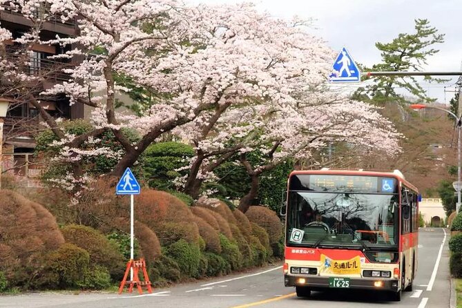 Hakone FreePass, 2-3 Days Japan - Frequently Asked Questions