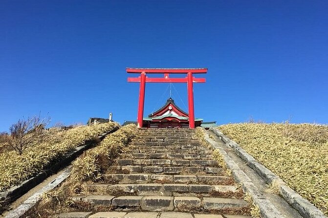 Hakone Full Customized Private Tour With English Speaking Driver - Memorable Experiences With a Knowledgeable Driver