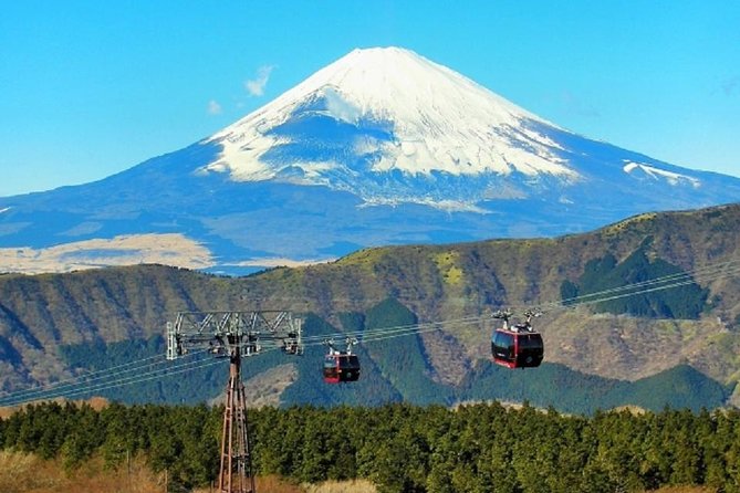 Hakone Full-Day Private Tour By Public Transportation - Highlights of the Hakone Tour