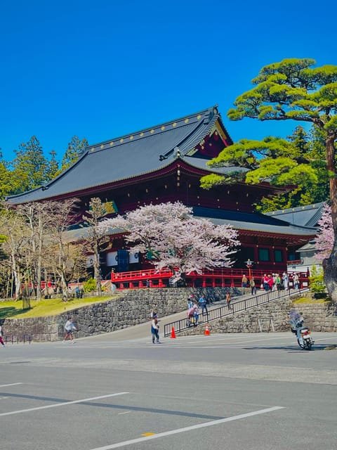 Hakone: Full Day Private Tour With English Speaking Guide - Itinerary Highlights