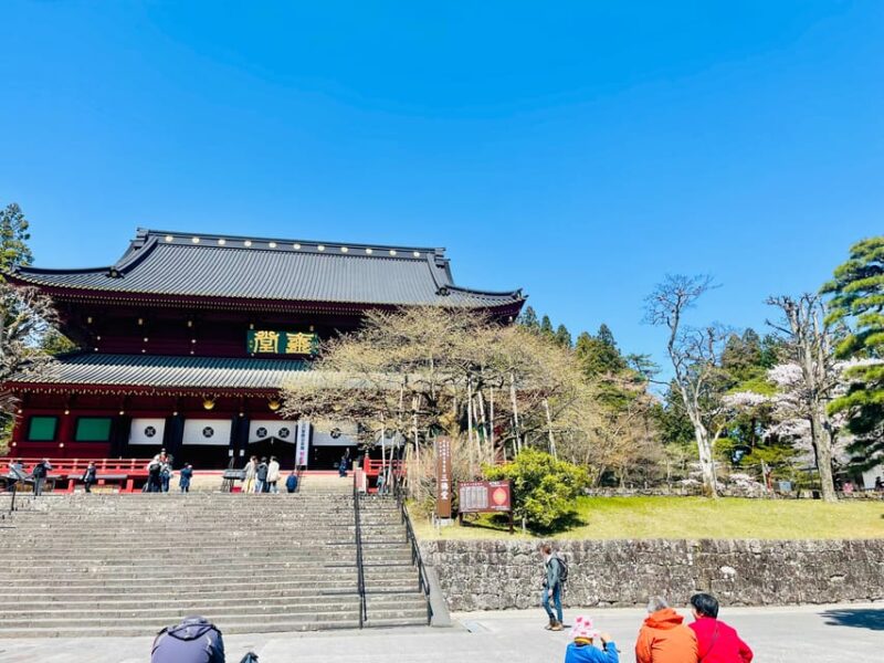 Hakone: Full Day Private Tour With English Speaking Guide - Guidance and Support