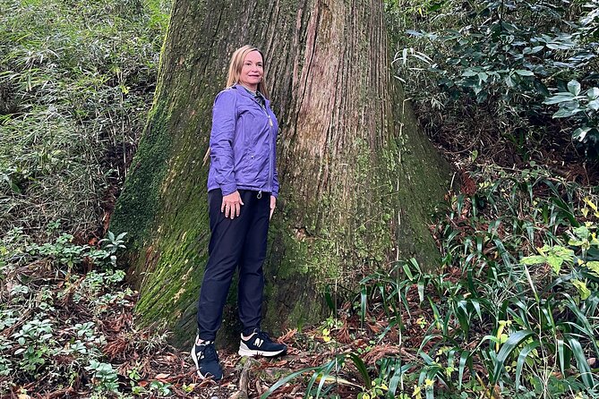 Hakone Full Day Tour With Guide and Vehicle - Positive Traveler Reviews