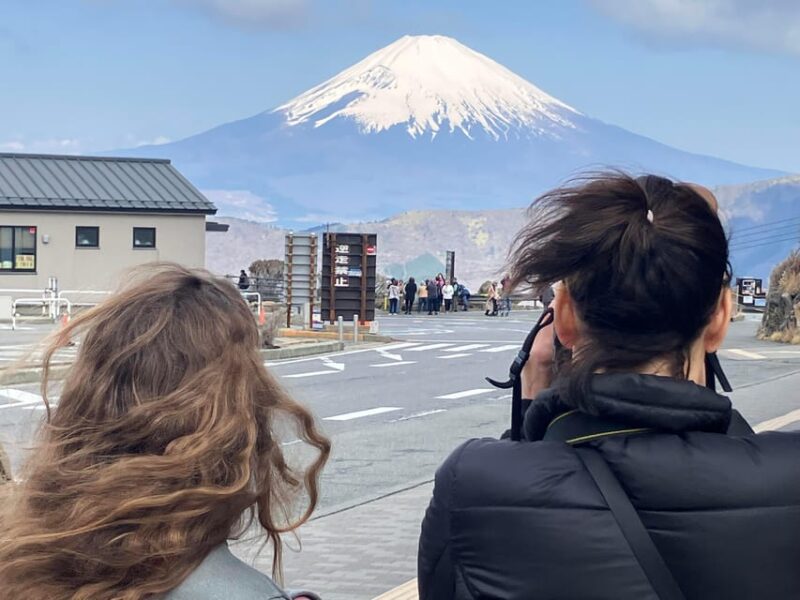 Hakone Geology & History Tour - Customer Experience and Reviews