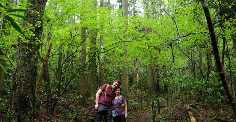 Hakone Hachiri: Old Tokaido Highway Hiking Half-Day Tour - Key Points