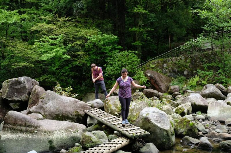 Hakone Hachiri: Old Tokaido Highway Hiking Half-Day Tour - Itinerary Highlights