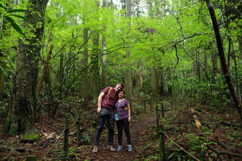 Hakone Hachiri: Old Tokaido Highway Hiking Half-Day Tour - Experience and Features