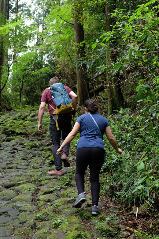 Hakone Hachiri: Old Tokaido Highway Hiking Half-Day Tour - Hakone Checkpoint Historical Site