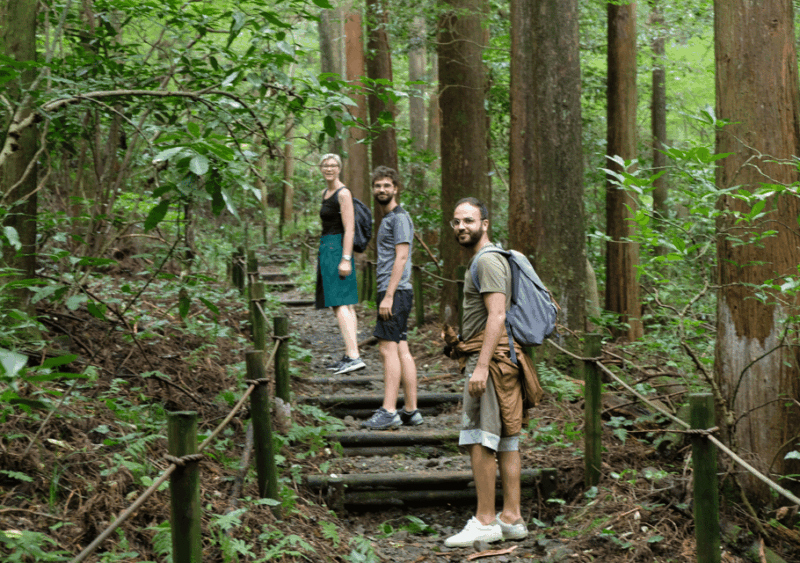 Hakone Hachiri: Old Tokaido Highway Hiking Tour - Experience and Activities