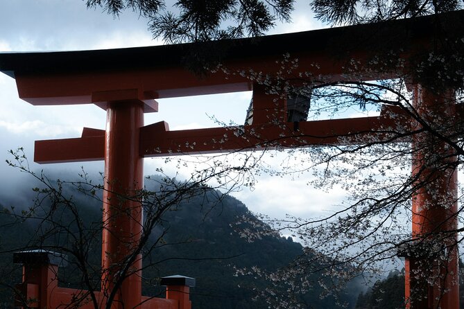 Hakone Lake Ashi Cruise Hot Bath Private Sightseeing Trip - Key Points