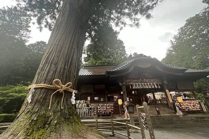 Hakone Mt. Fuji Tour by Car with Pickup and Drop off from Tokyo - An Overview of the Tour Experience