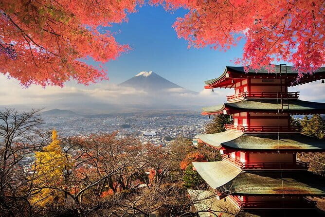 Hakone Mt. Fuji Tour by Car with Pickup and Drop off from Tokyo - Value & Practical Tips