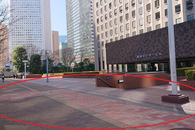 Hakone Pirate Ship, Owakudani Ropeway, Fuji 2nd Station Snow Sledding Day Trip - Accessibility