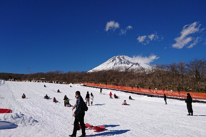 Hakone Pirate Ship, Owakudani Ropeway, Fuji 2nd Station Snow Sledding Day Trip - Conditions and Changes