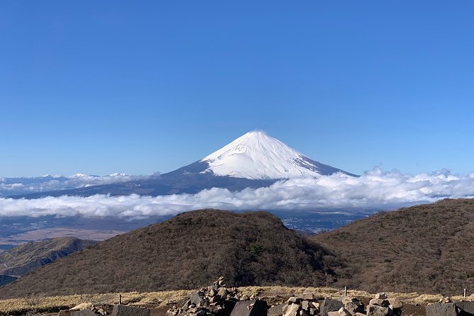 Hakone Private One Day Tour From Tokyo: Mt Fuji, Lake Ashi, Hakone National Park - About the Tour Operator