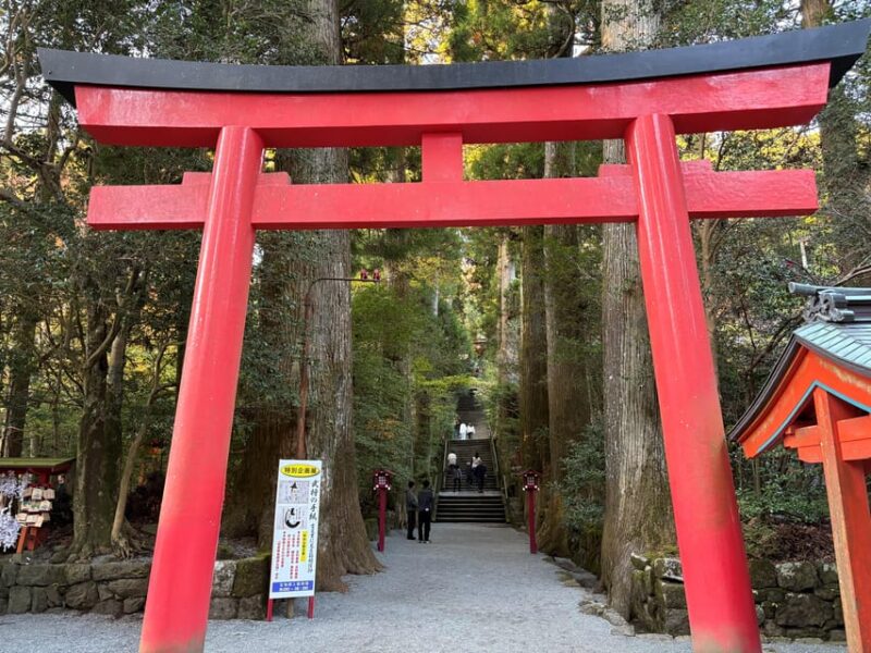 Hakone: Relaxing Hot Springs and Scenic Lake Cruise - Relaxing at the Tenzan Onsen