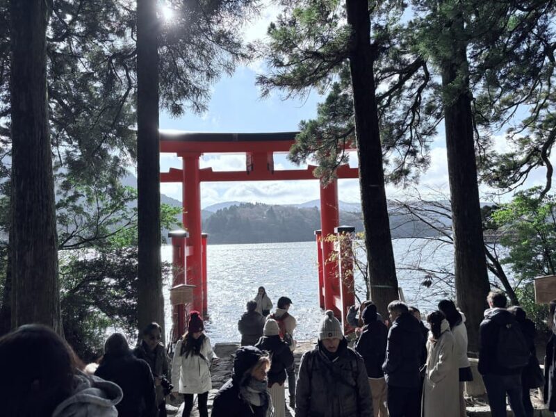 Hakone: Relaxing Hot Springs and Scenic Lake Cruise - Tour Guide and Important Information