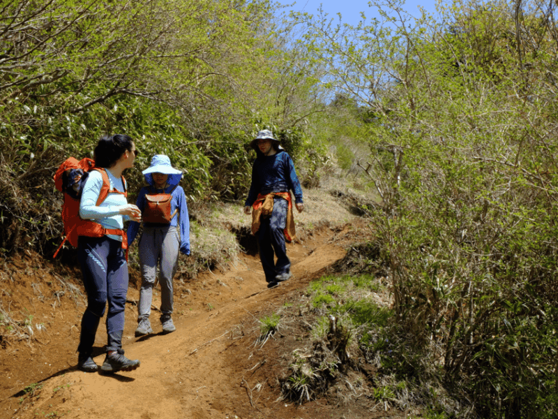 Hakone: Traverse the Hakone Caldera and Enjoy Onsen - Pricing and Booking